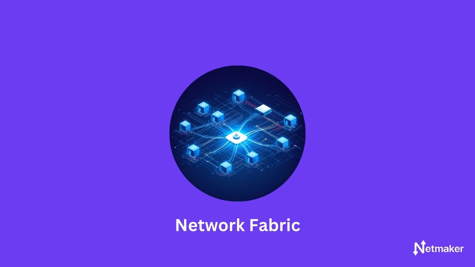 What Is A Network Fabric? (How It Works & Main Benefits)